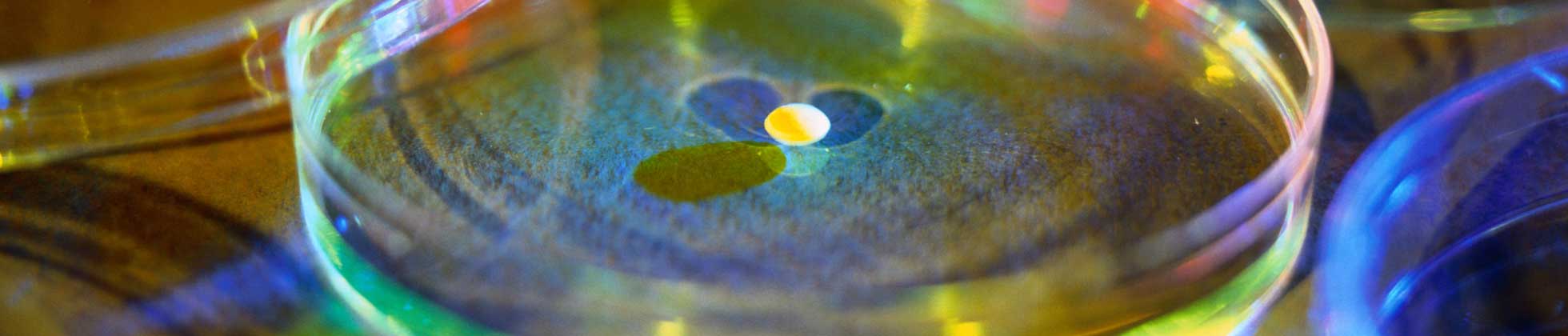 DECHEMA | Gesellschaft für Chemische Technik und Biotechnologie e.V.